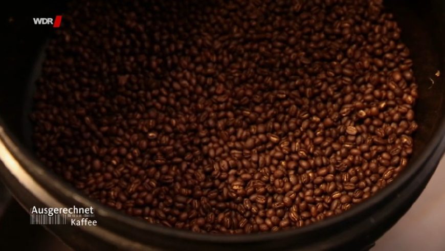 Kaffeewissen Archive - KAFFEEKULTUR Online-Shop